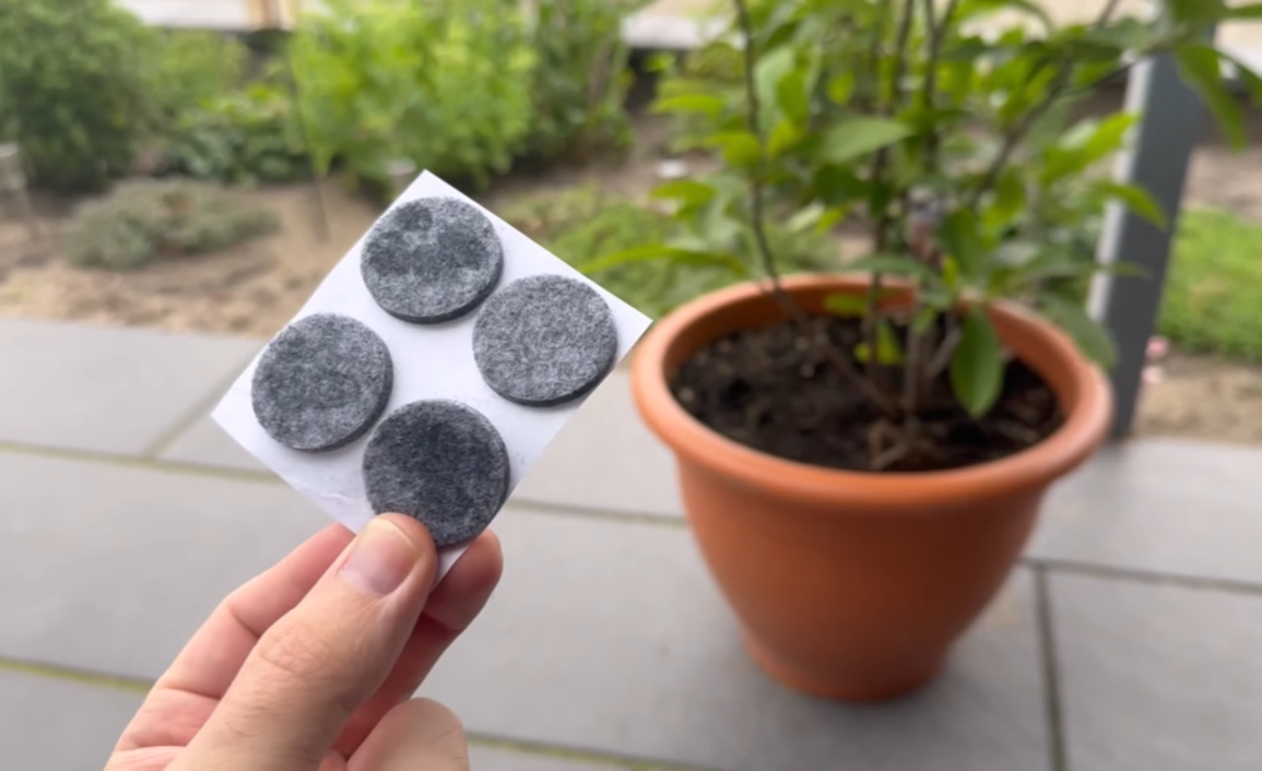 Dé bloempot-hack die iedereen nu gebruikt: zo bespaar je water en ...